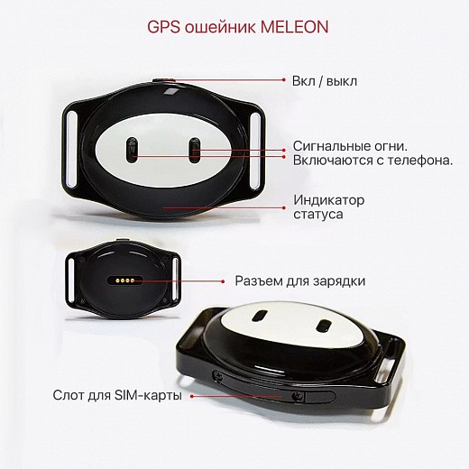Купить GPS ошейник для собак и кошек - Pet GPS D79 | Мелеон